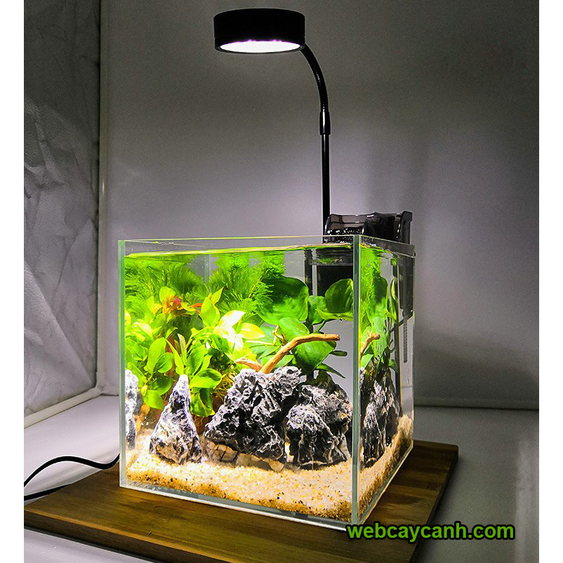 Bộ đèn led đế gỗ giá chỉ 169k rẻ nhất toàn quốc